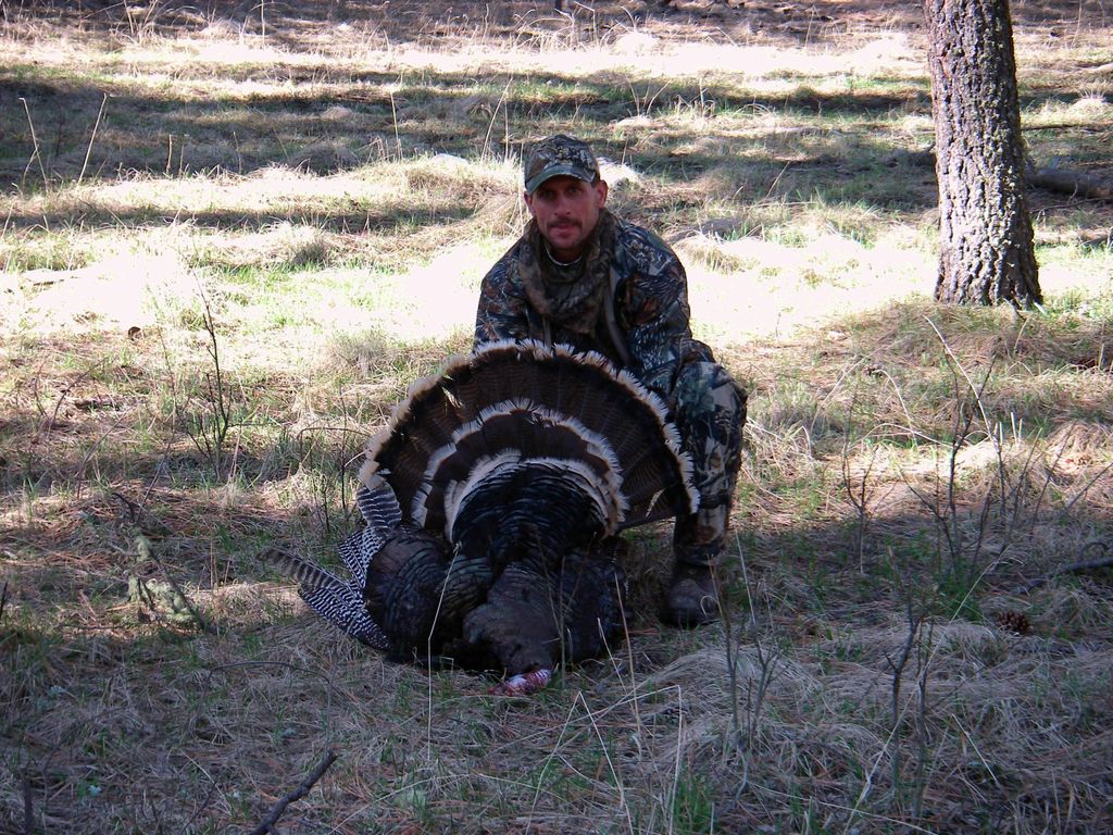 3.Merriam TurkeyMia Anstine-- Encouraging everyone to get outside, hunt ...