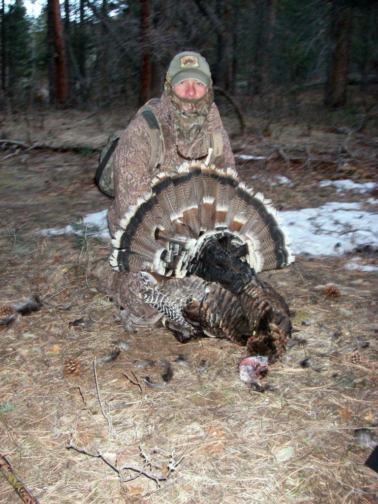 9.Merriam TurkeyMia Anstine-- Encouraging everyone to get outside, hunt ...