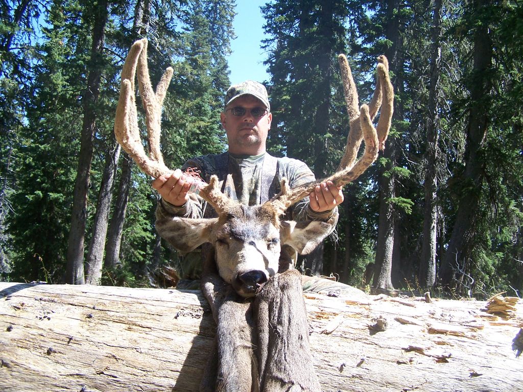 9.Mule Deer HuntMia Anstine-- Encouraging everyone to get outside, hunt ...